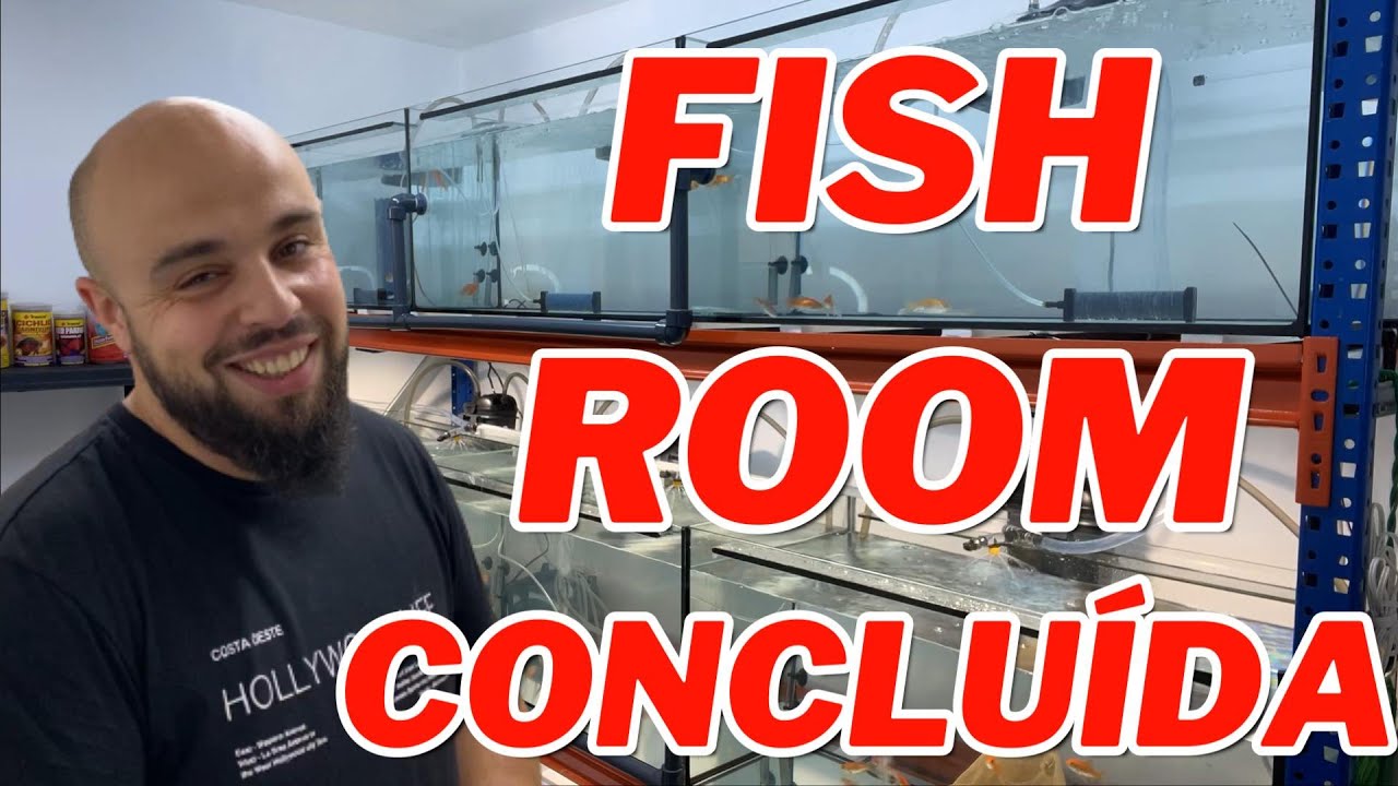 Montagem da FISH ROOM CONCLUÍDA! Sistema de filtragem e troca de água ...