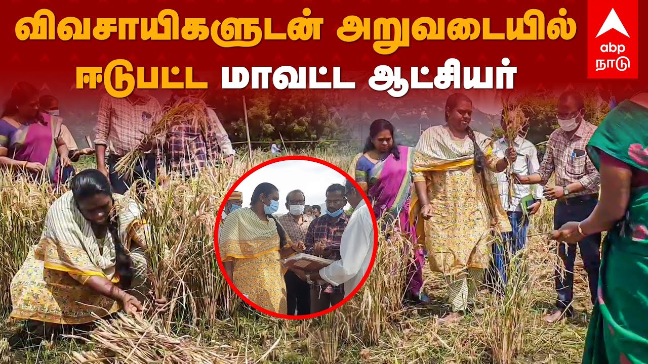 Dharmapuri Collector Divya Dharsini | விவசாயிகளுடன் அறுவடையில் ஈடுபட்ட ...