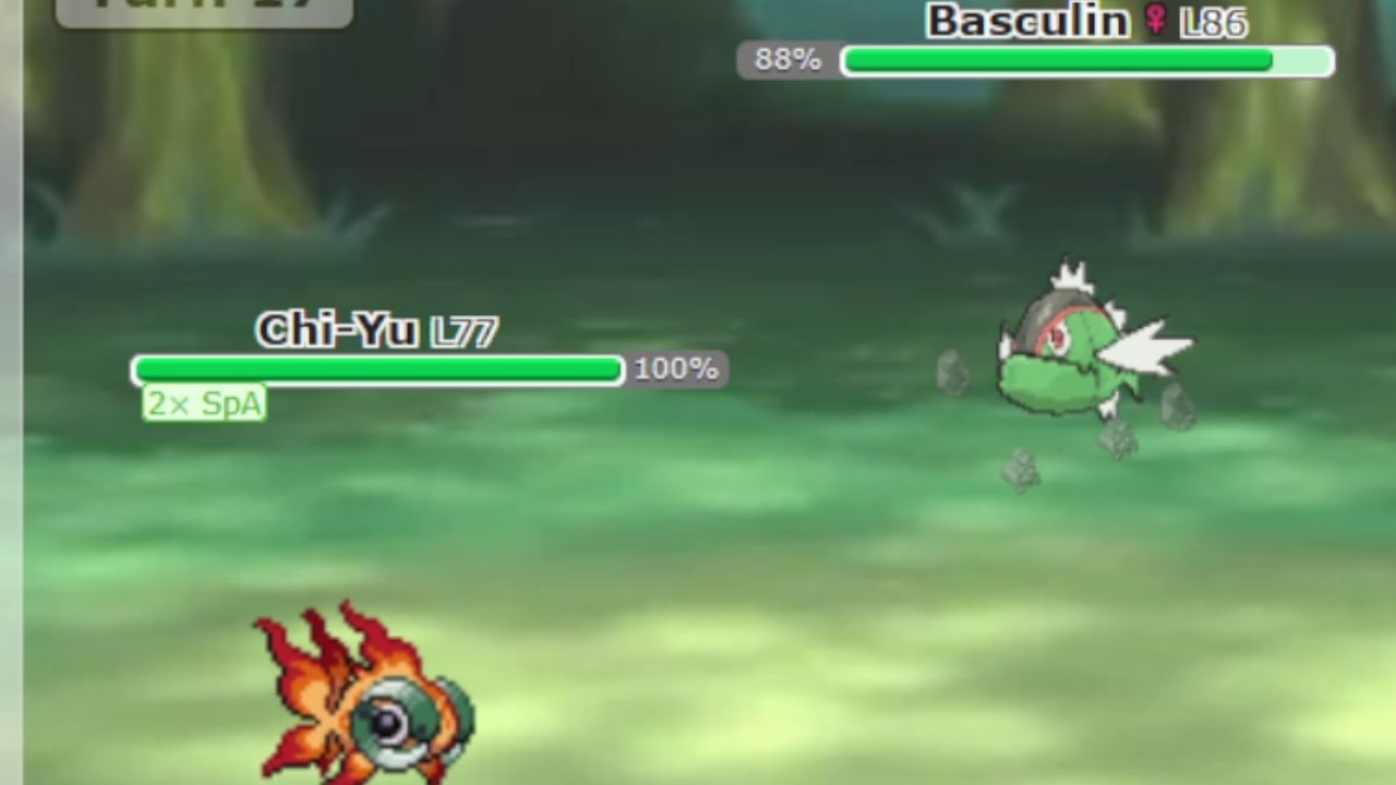 We shall find out what the fish are doing - YouTube