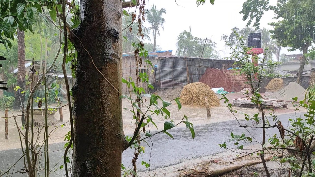 Beautiful Rain Video in Bangladesh | Rainy Season White Noise | Village ...