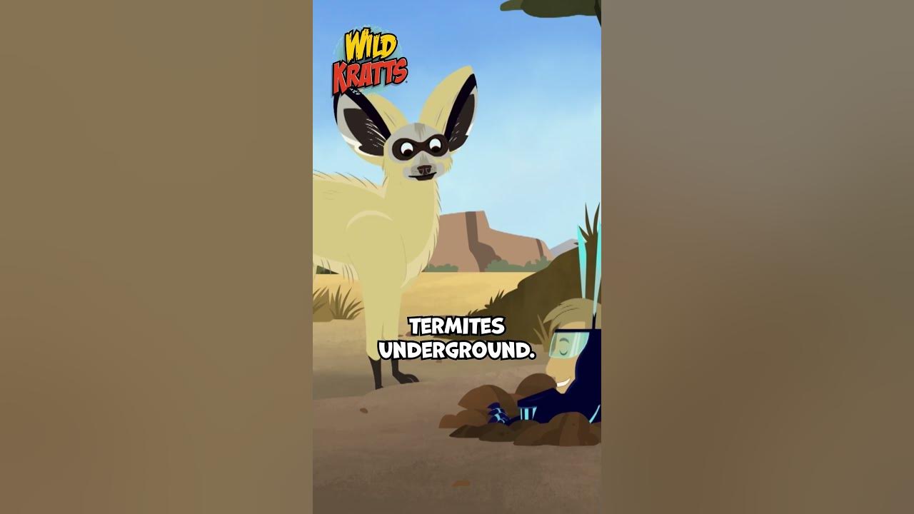 The Next Level - Animals that Eat Other Animals | Moving Up The Food ...