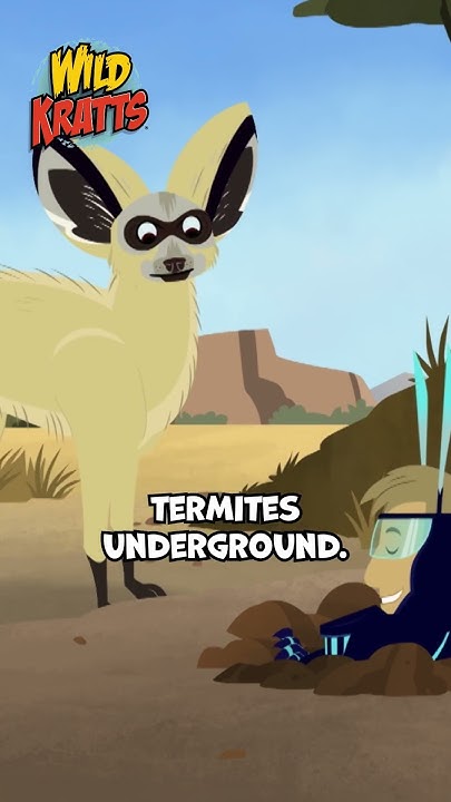 The Next Level - Animals that Eat Other Animals | Moving Up The Food ...