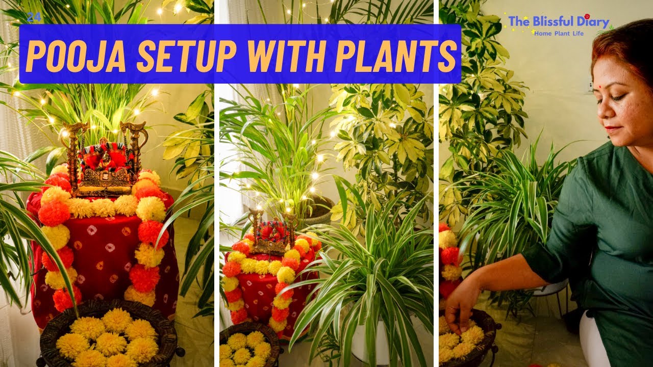 Inviting God To The Green Abode | Pooja Setup Decor With Plants | Home ...