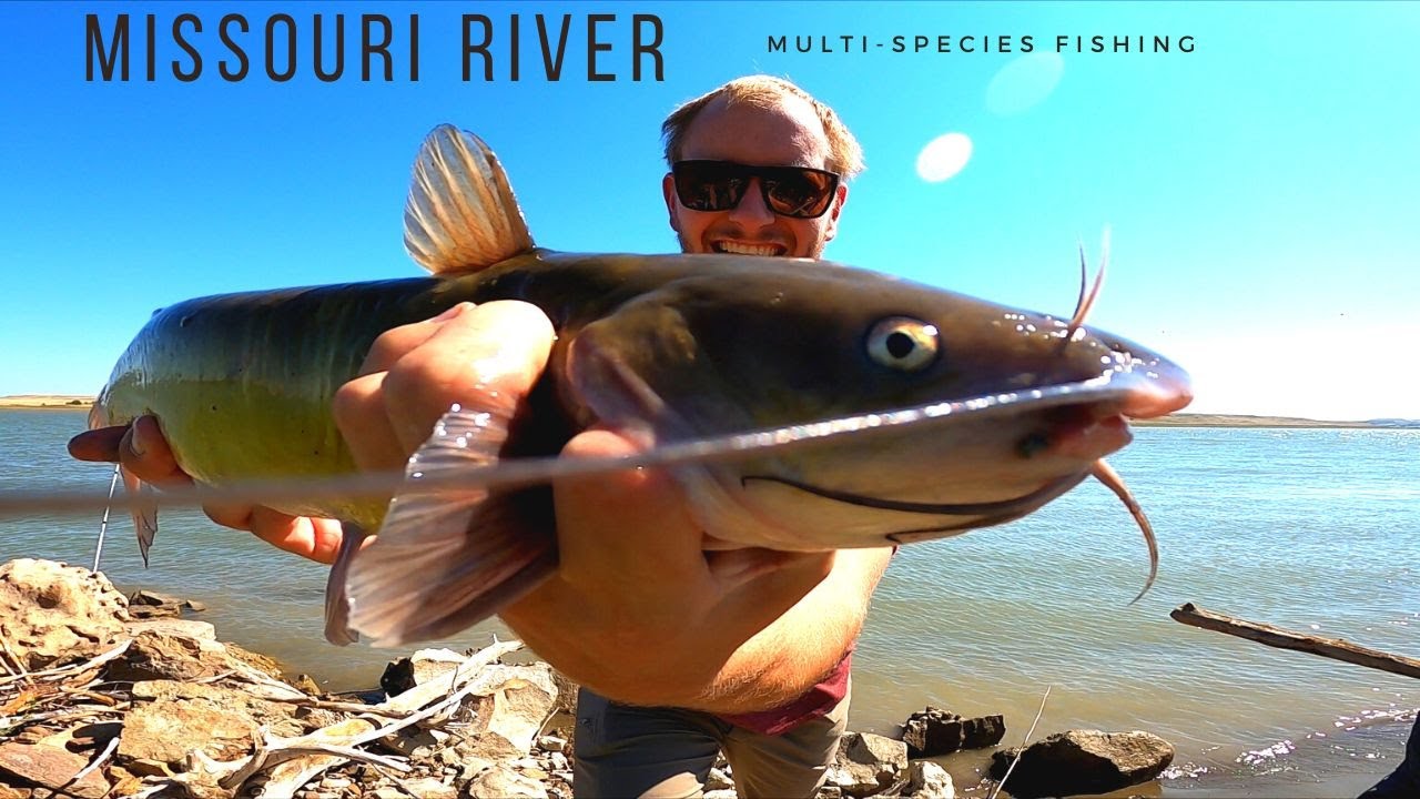 Multi-Species Fishing on Missouri River (Catfish, Walleye and Bass ...