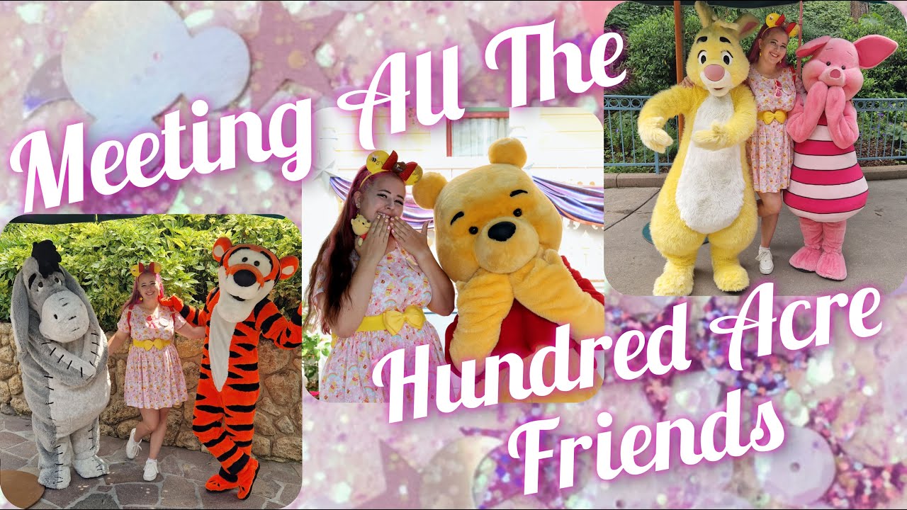 Meeting All Of The Hundred Acre Wood Friends | DLP July Vlog 3 - YouTube