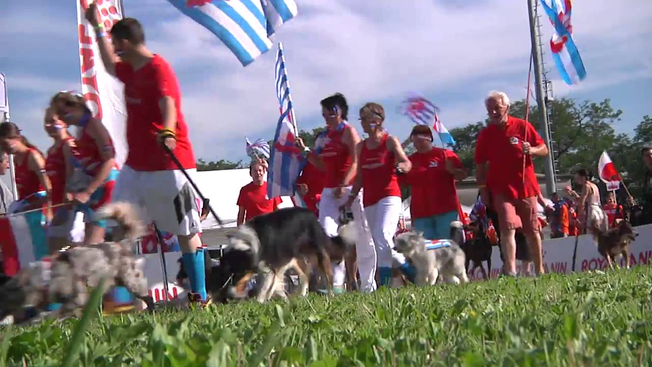 European Open Jr Agility Championship 2014 - Opening - YouTube