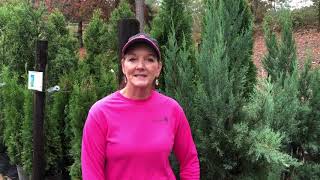 Plants of Augusta National