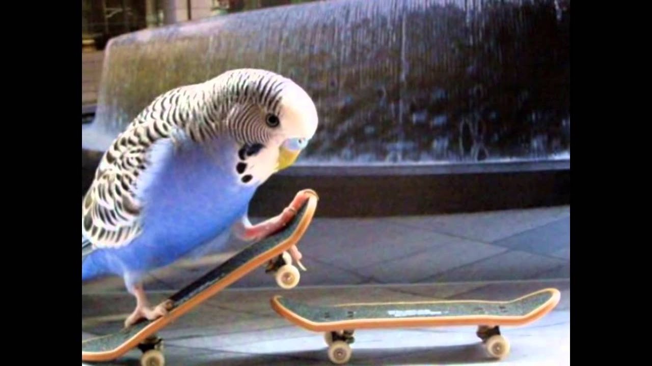 My funny Slideshow 2 - YouTube