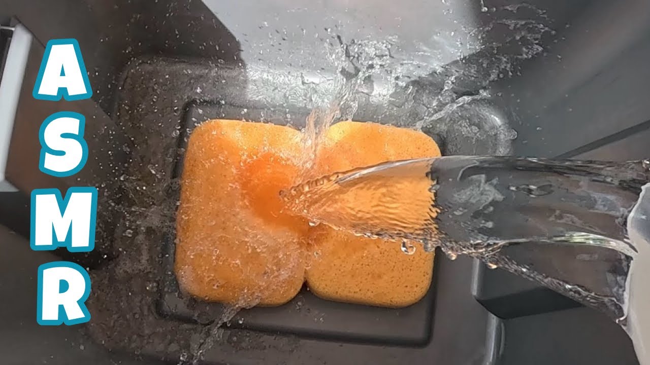 ASMR | SQUEAKY CLEAN SPONGE SQUEEZING 🧽 *creamy pine suds* 🌲😍 - YouTube