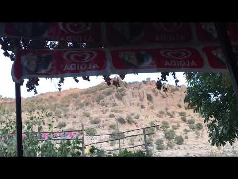 Beyazsu , Sere Awe Nusaybin