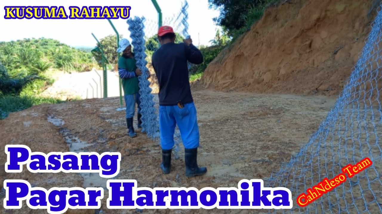 Cara Memasang Pagar Kawat Harmonika || Strimin - YouTube