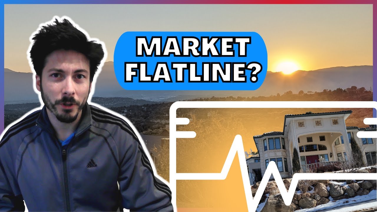 FLATLINE in the Housing Market - YouTube