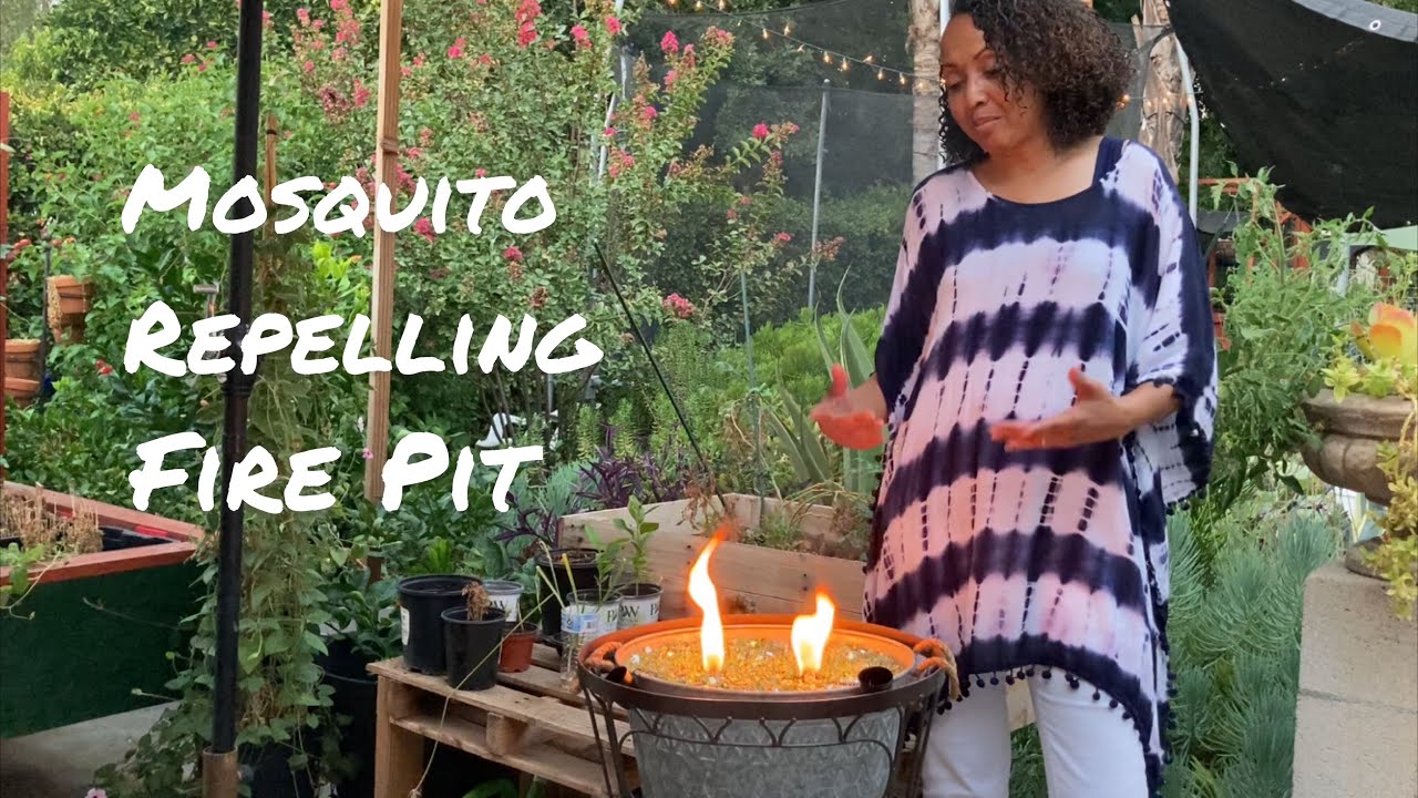 Make Your Own Mosquito Repelling Fire Pit - YouTube