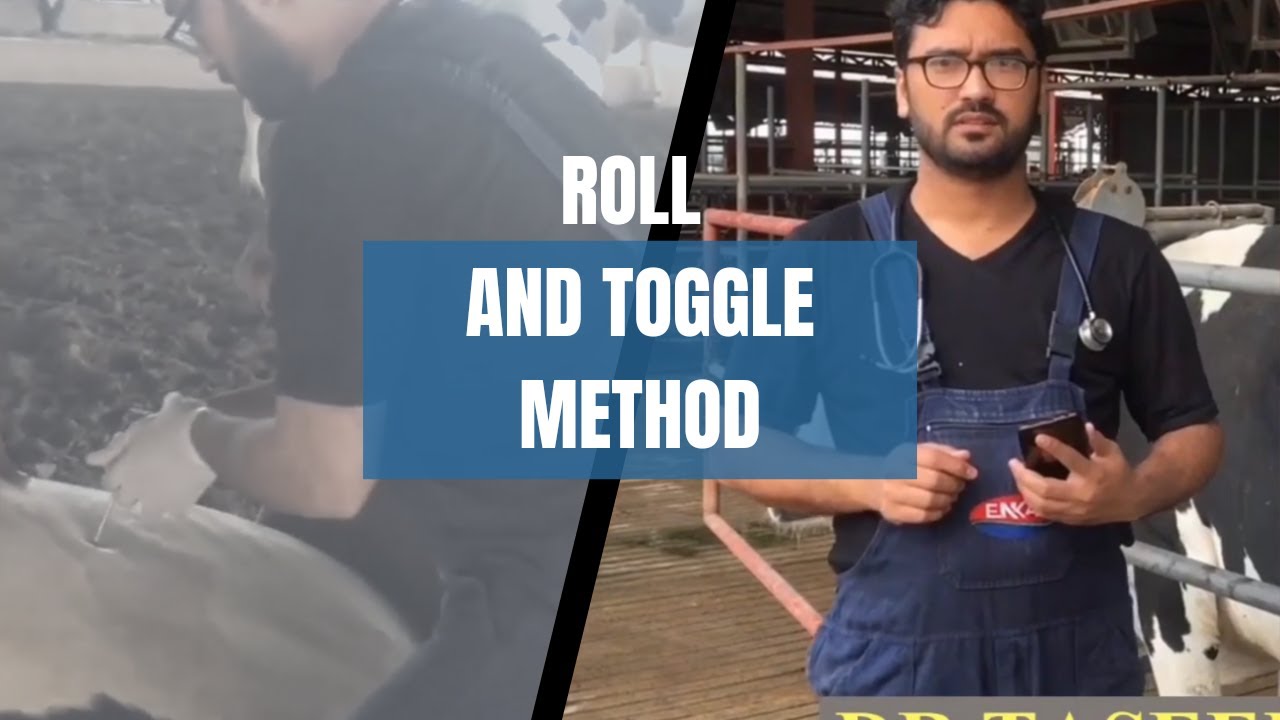 LDA toggle |Roll and Toggle method |Left Displacement of Abomasum |LDA ...