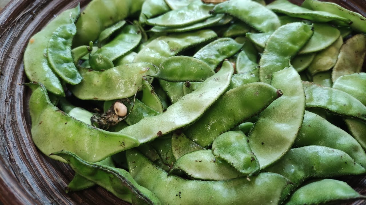 Harvested some vegetables like beans, helencha greens on 21st October ...