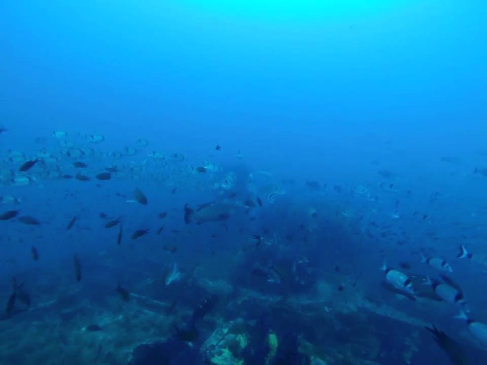 video 2 plongée épave donator aout 2015 - YouTube