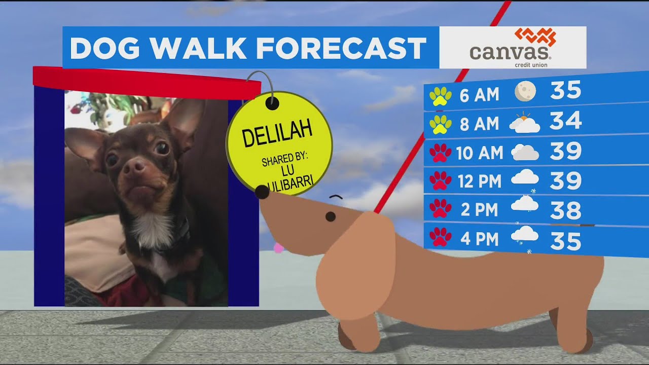 Dog Walk Forecast - YouTube