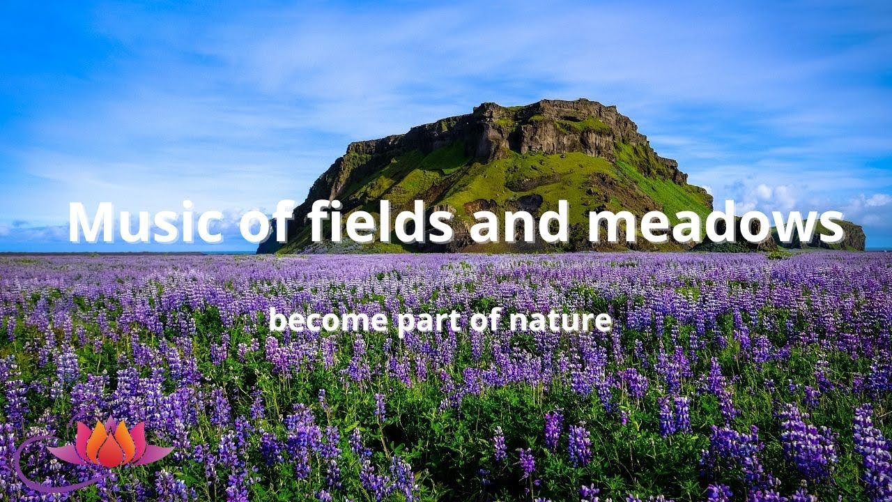 Pleasant music of fields and meadows with a relaxing effect. Calming ...