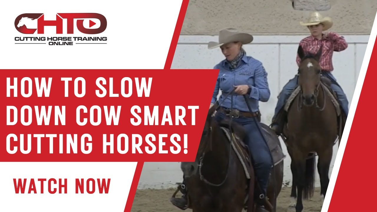 How To Slow Down Cow Smart Cutting Horses! - YouTube