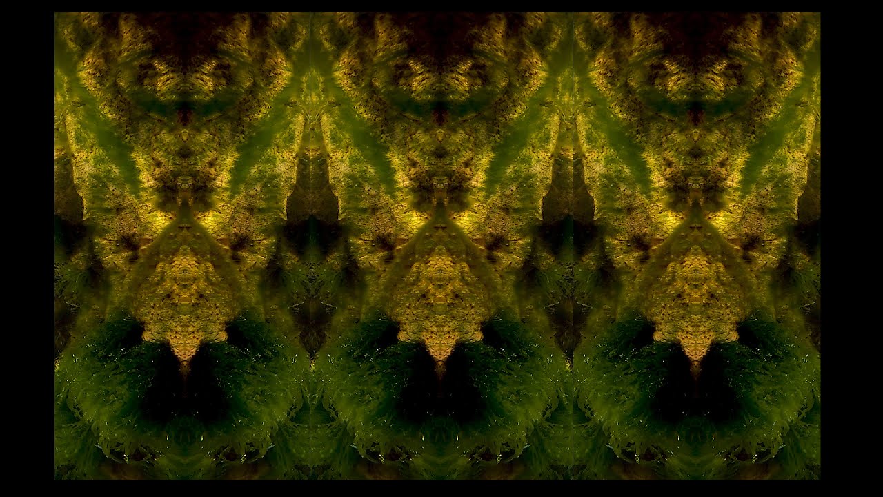 Fractal Sea, ambient video, no CG, natural fractal, underwater sound ...