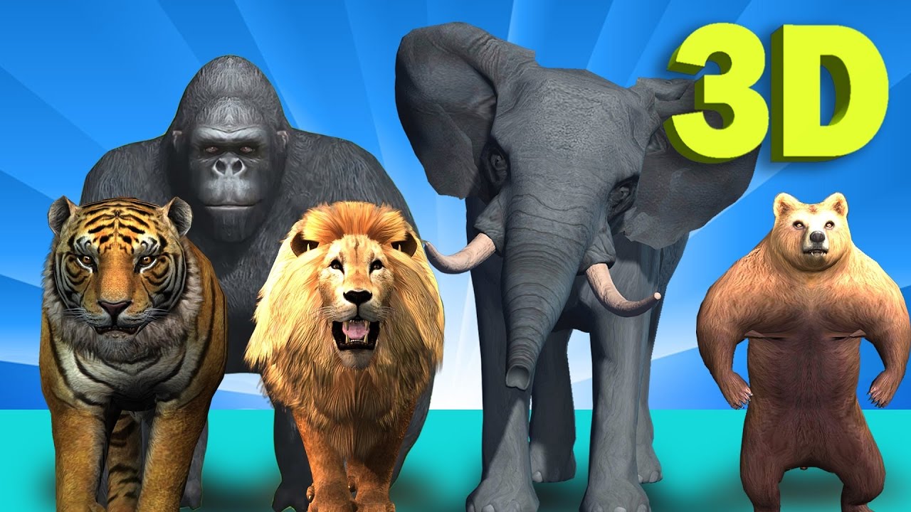 Learn colors with Wild Animals colors lesson for Nursery Children ...