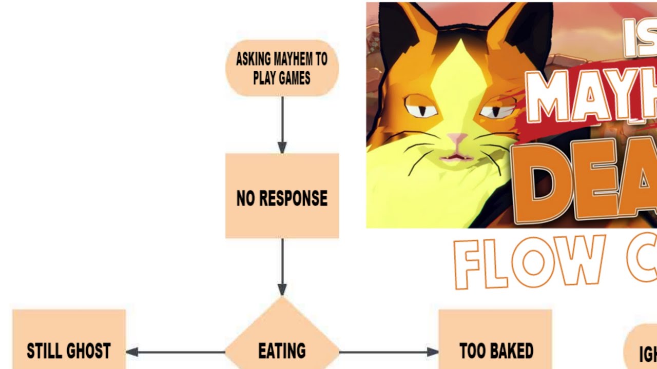 The Mayhem Flow Chart - YouTube