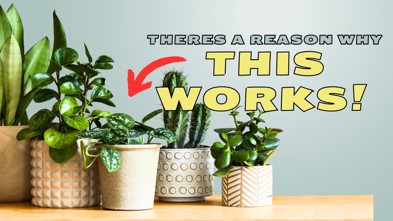 This Simple Plant Styling Trick Will Change Everything - YouTube