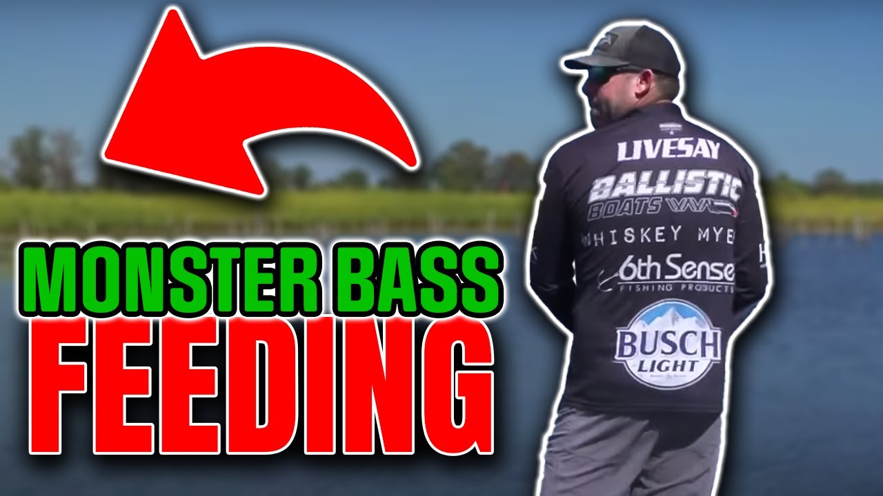 Topwater Bass Fishing Masterclass - (Lee Livesay, Brandon Cobb, and ...
