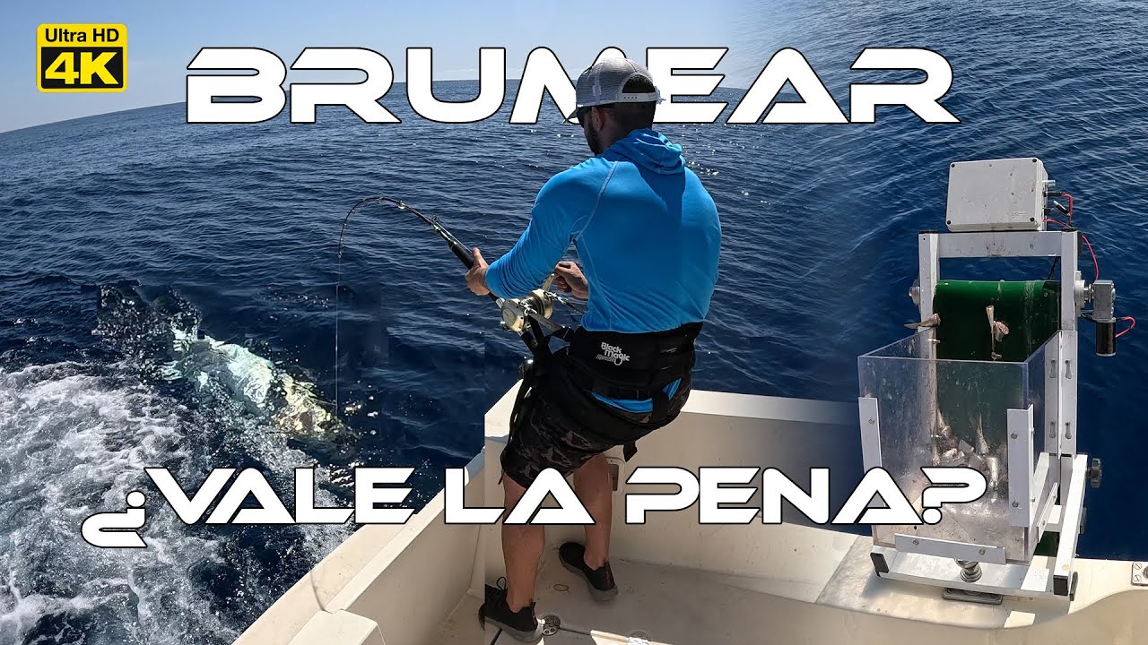 PESCA a BRUMEO - ¿Es EFICAZ BRUMEAR desde la SUPERFICIE? + GALLO PEDRO ...