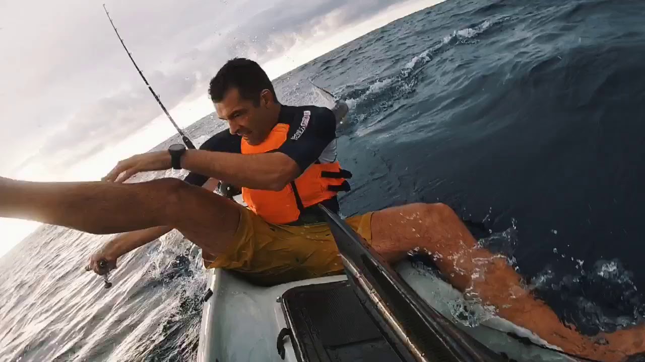 Shark attack on kayak off Salt Rock. HD. Slomo - YouTube