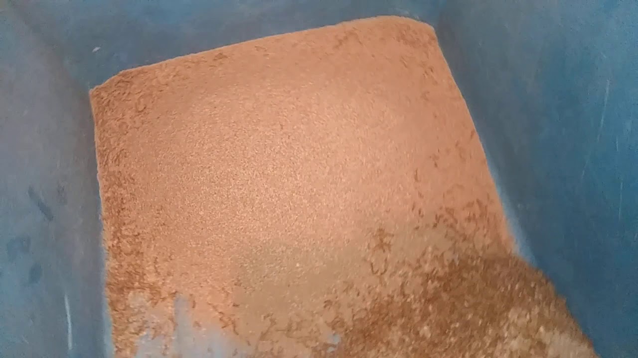 FRASS Harvest - How its done - YouTube