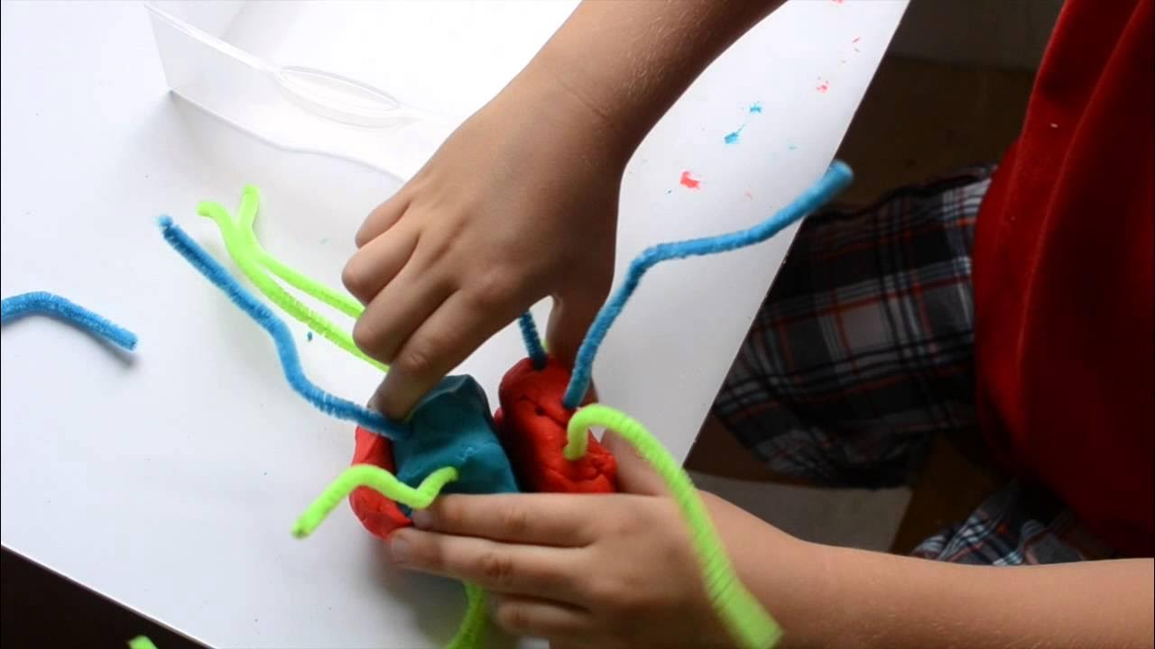 Build a Bug: A Creative STEAM Activity for Kids - YouTube