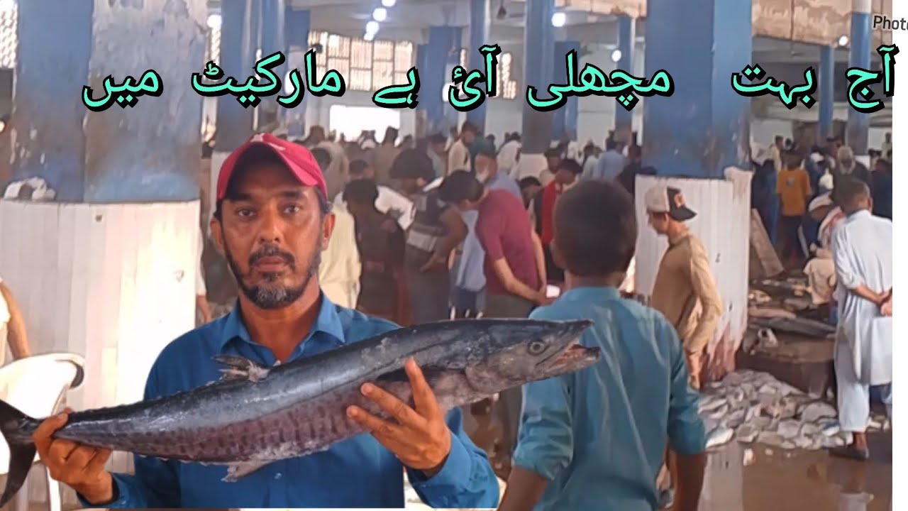 Alot of fish arrive in the fish market today - YouTube