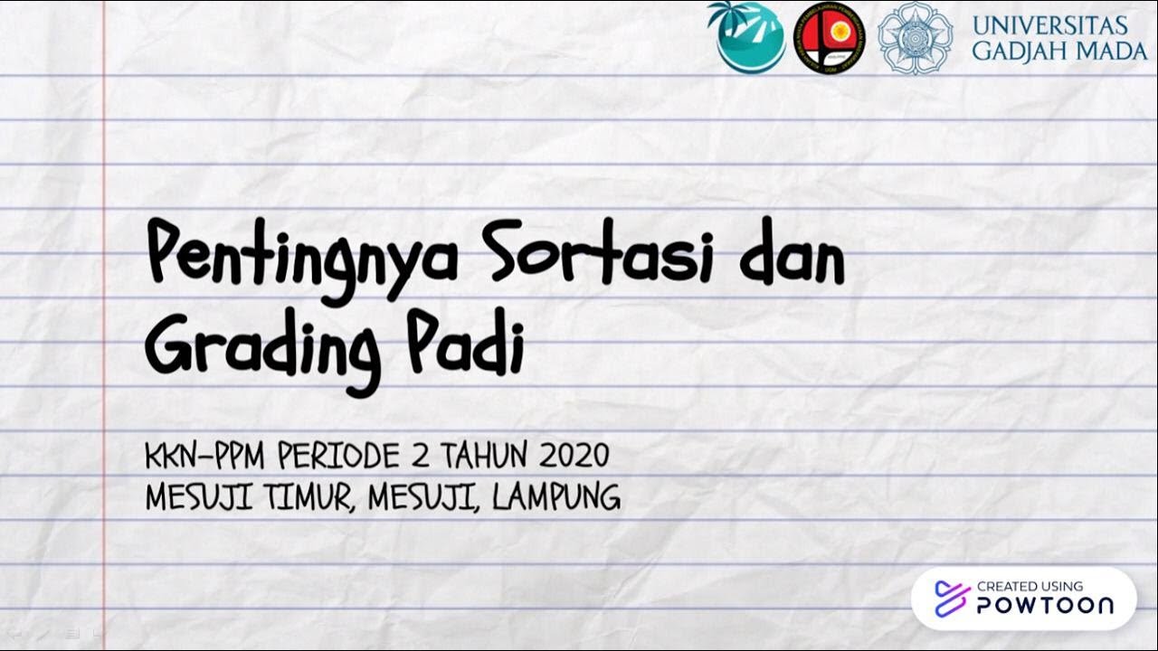 Pentingnya Sortasi dan Grading Padi - YouTube