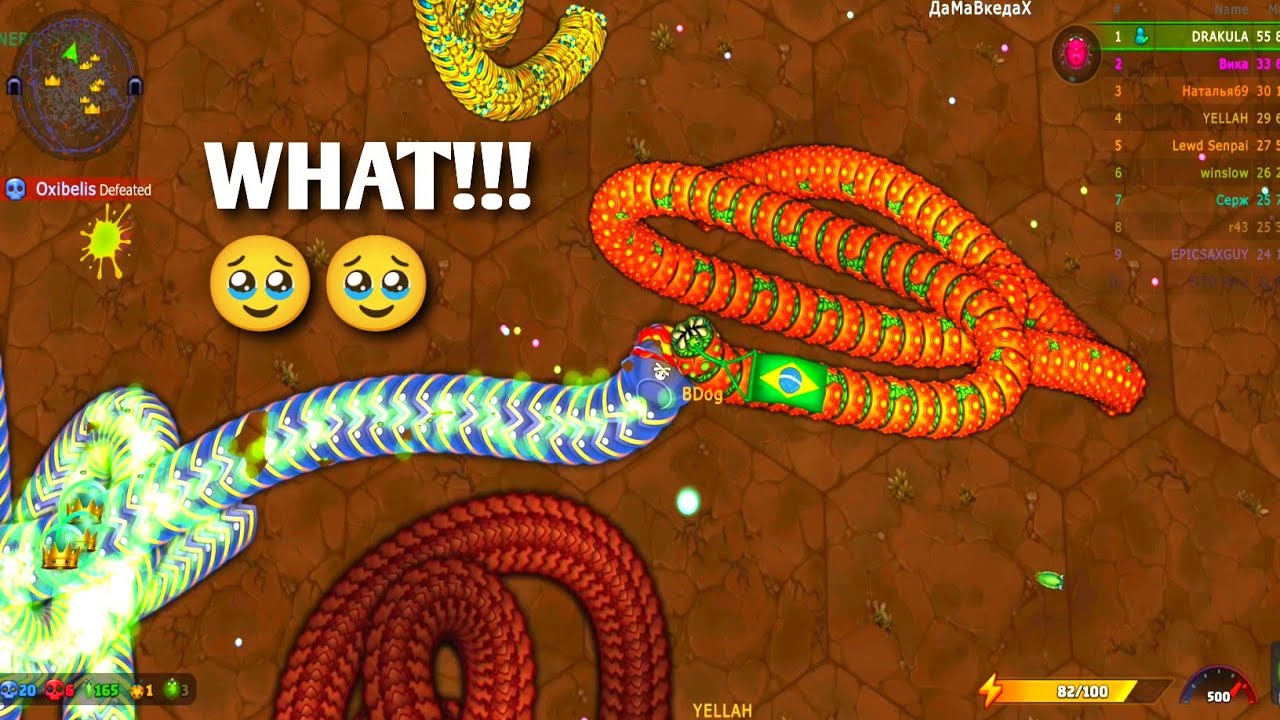 Unfortunately Brazilian snake kill mu king 🤣 || Little Big Snake ...