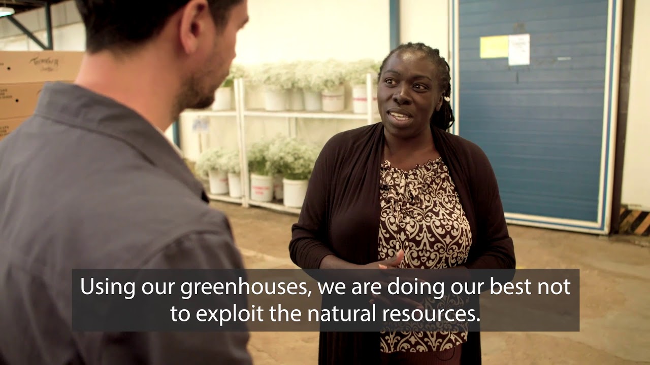 Tambuzi Farm As Featured On BBC Made On Earth - YouTube
