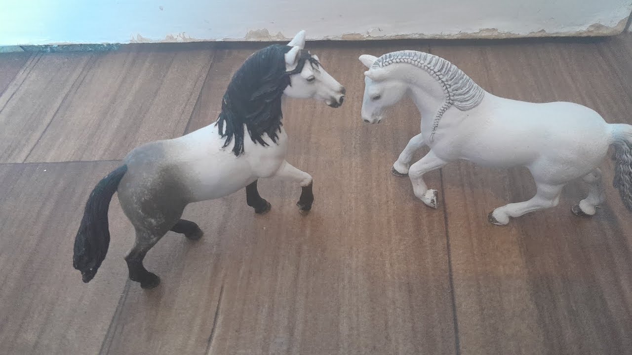 schliech music video love story - YouTube