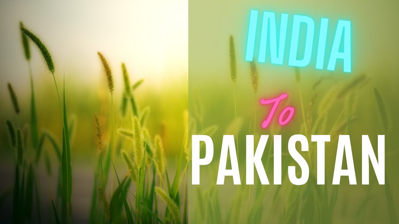 Journey to Pakistan | Unity in Diversity: Celebrating India-Pakistan ...
