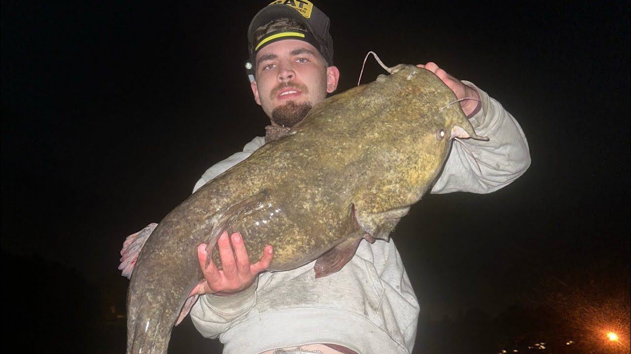 Bank fishing for flathead catfish! (NON-STOP ACTION!) - YouTube