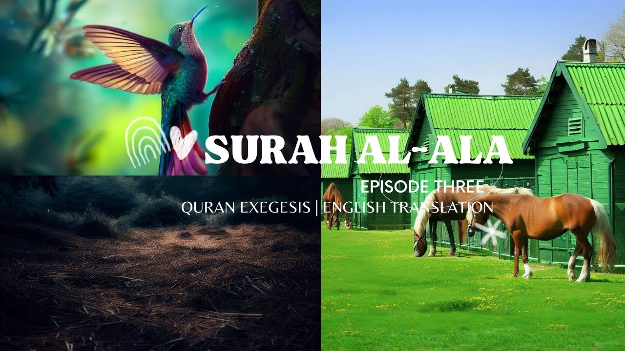 Surah Al Ala | Quran 87 | Verses 6-9| English Explanation | Quran ...
