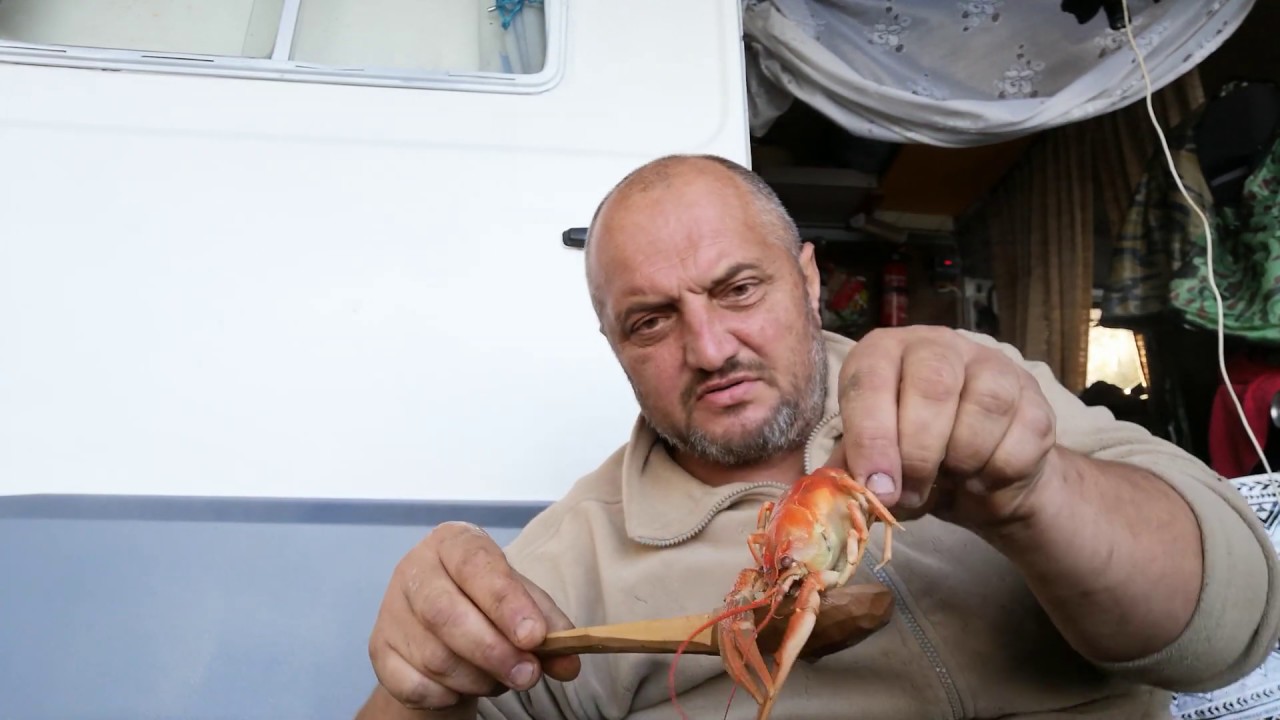 Gastronomie-Cum pregătim si ce consumam de la un rac - YouTube