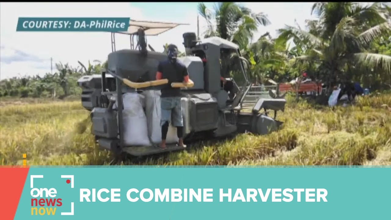 PhilRice develops local rice combine harvester - YouTube