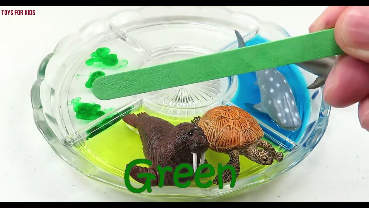 Learning Colors Video with Dye Coloring and Sea Animal Toys | Toys For ...