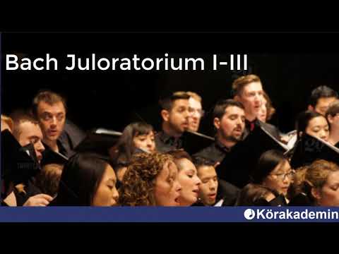 Bach Juloratorium