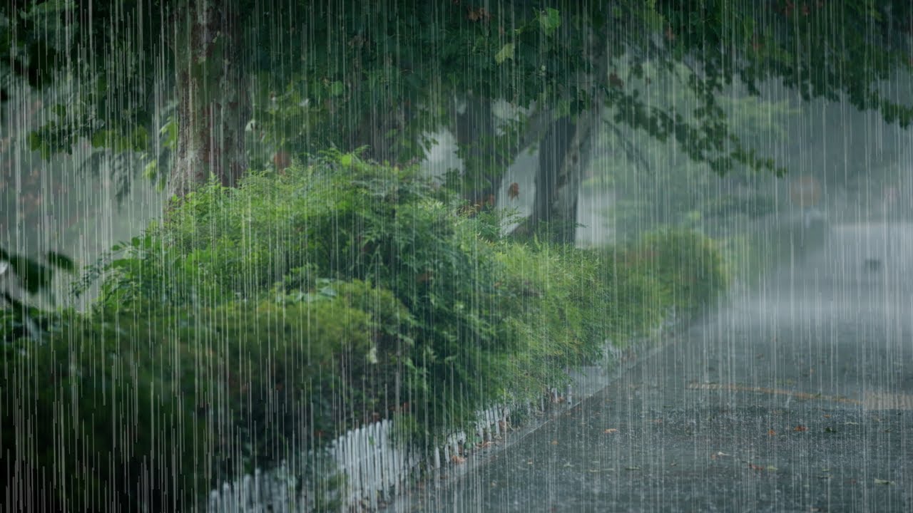 [ASMR] Heavy Rainfall on a Quiet Tree-Lined Path | Nature Sounds for ...
