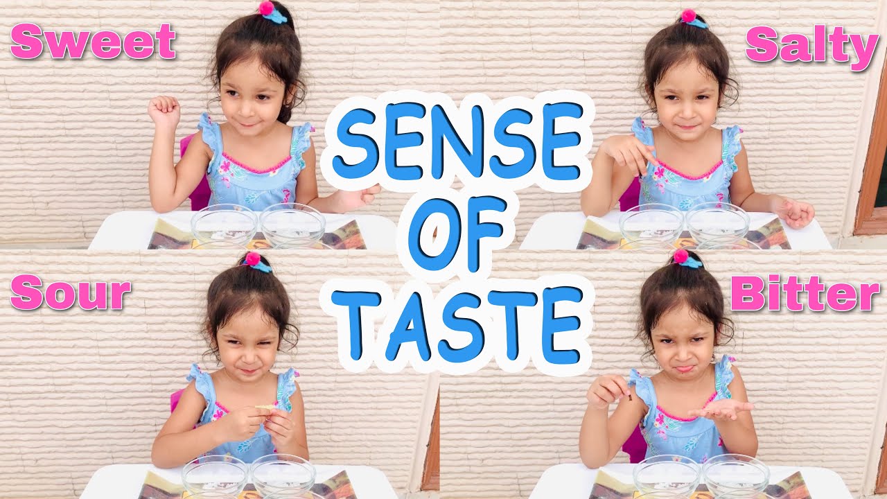 Hello Mishi | Tasting Food | Sense of Taste | Kids Activities - YouTube