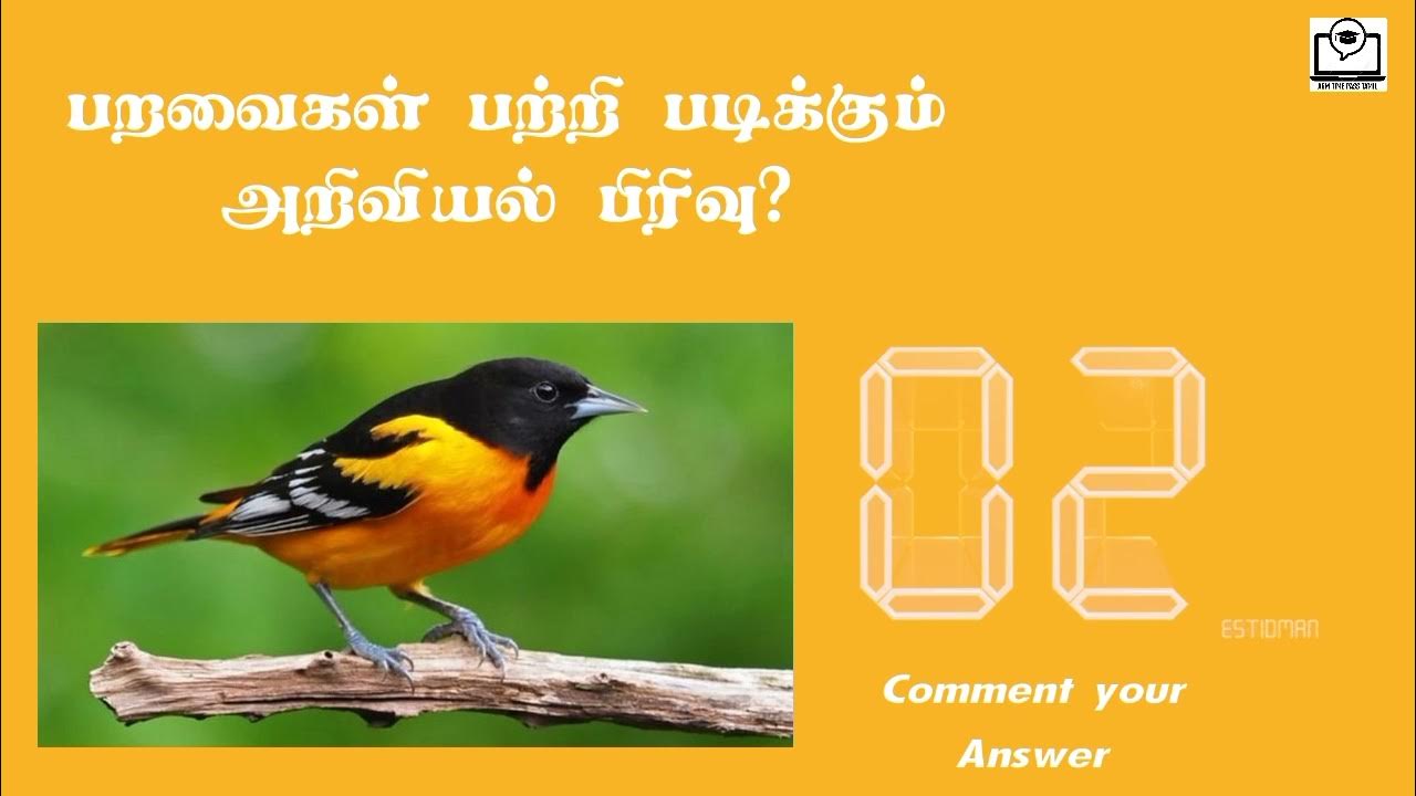 Govt Job Exam Questions Gk Questions TNPC Group1 2 3 4 Questions govt-job-exam-questions-gk-questions-tnpc-group1-2-3-4-questions