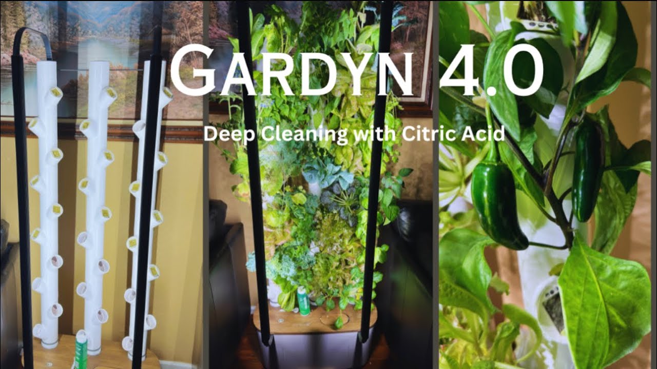 Gardyn 4.0 Deep Clean w/ Citric Acid - YouTube