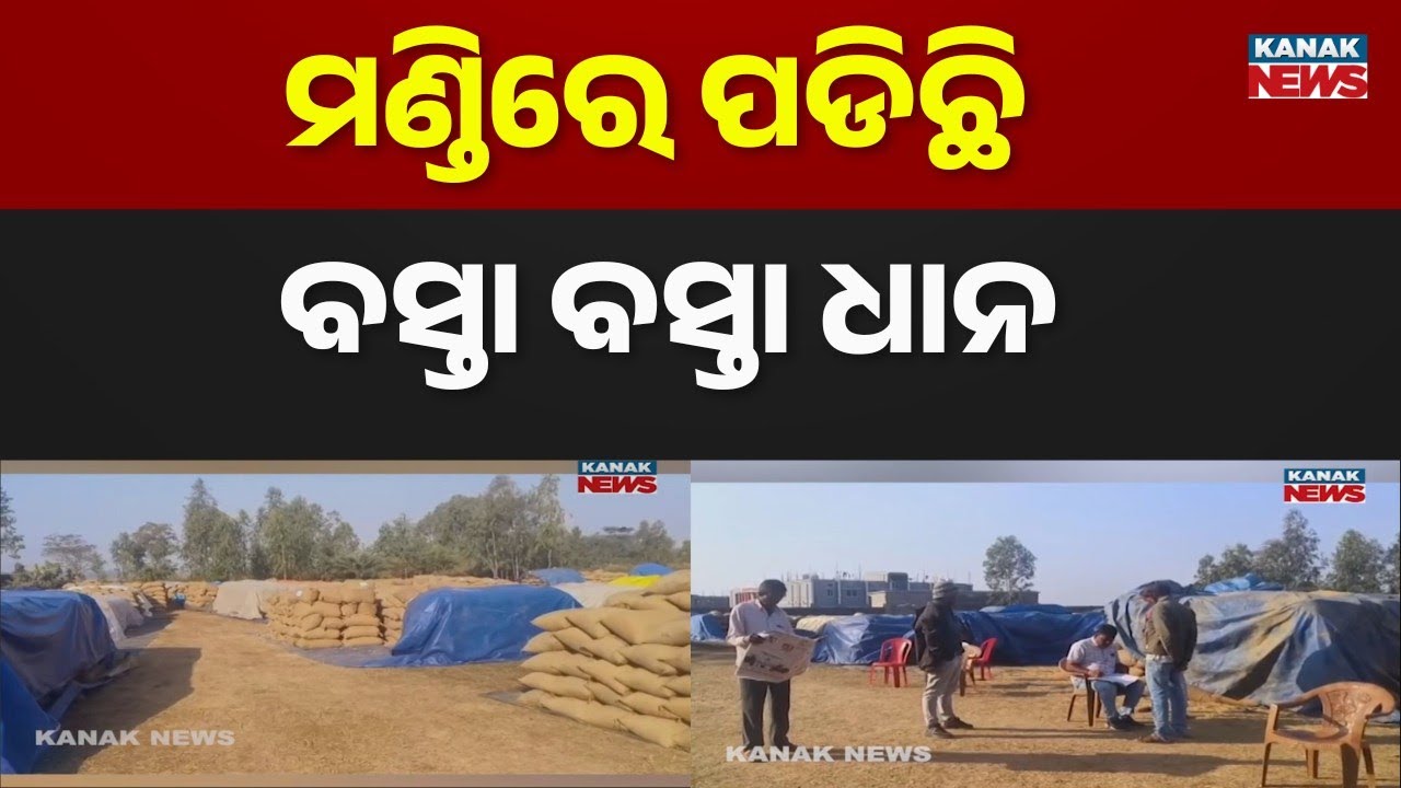 Paddy Left in Mandi Amid Millers' Strike: Farmers Protest in Sambalpur ...