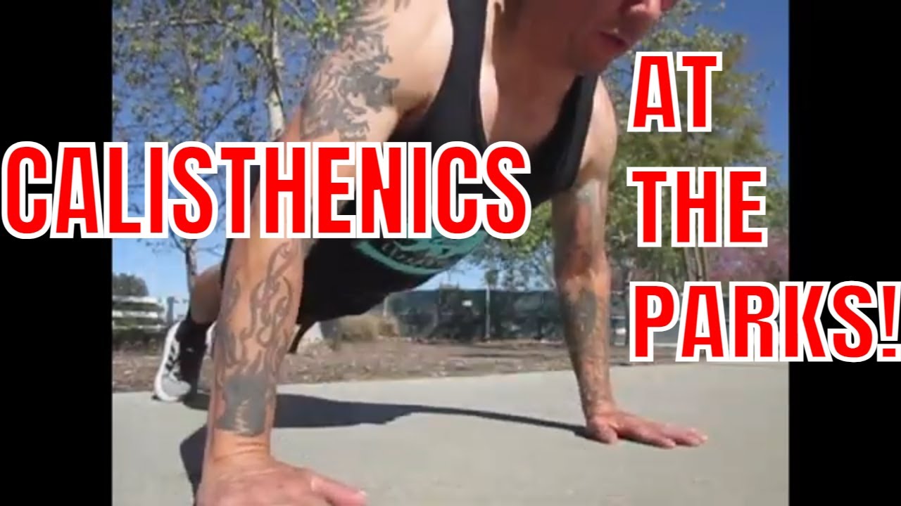 Calisthenics at the Parks| Pull UPs| Dips| Bench-Jumps| Push UPs ...